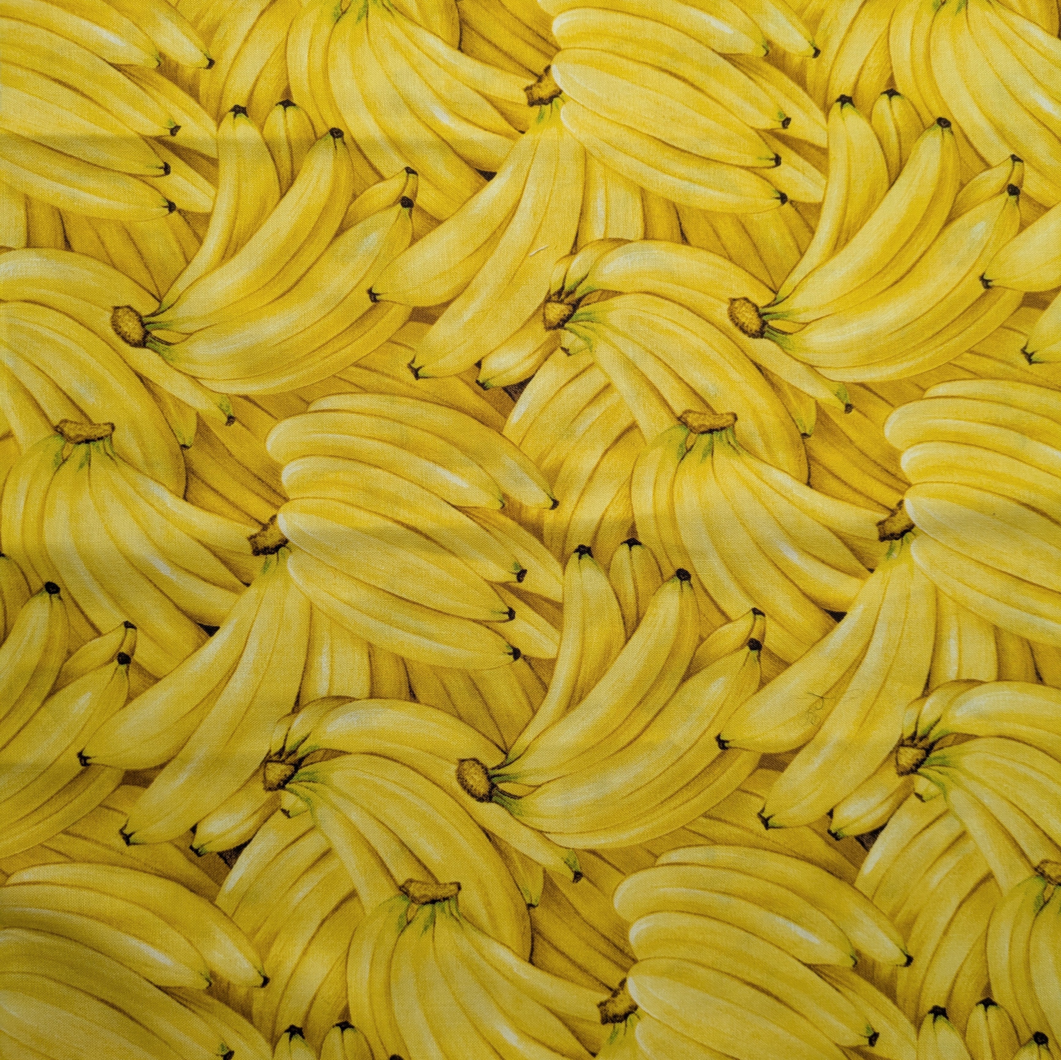 Photorealistic Bananas, Baby – Balkello Fabrics